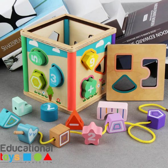 Buy Wooden Shape Sorter Puzzle Box Online - Educational Toys Pakistan