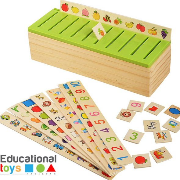 Buy Wooden Knowledge Classification Box Online - Educational Toys Pakistan