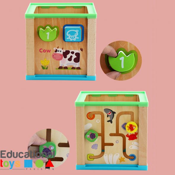 Buy Wooden Intelligence Box Online - Educational Toys Pakistan