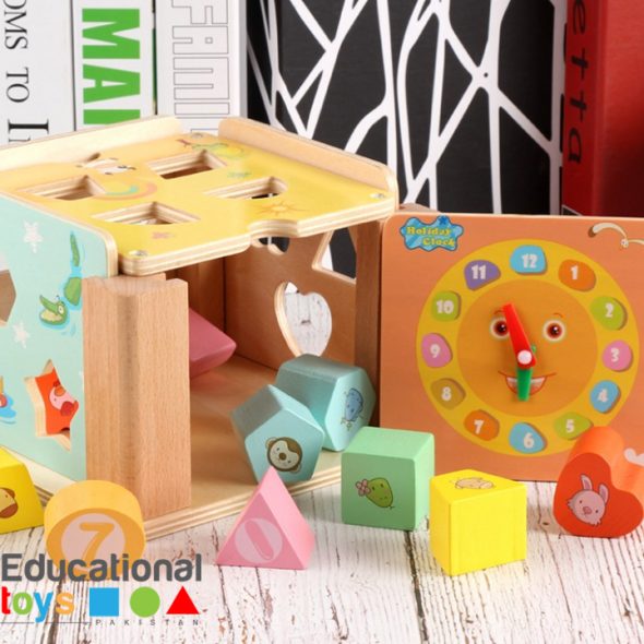 Buy Colourful Wooden Intelligence Box Online - Educational Toys Pakistan