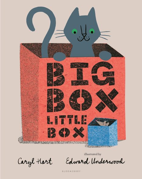 Buy Big Box Little Box (Picture Book) Online - Educational Toys Pakistan